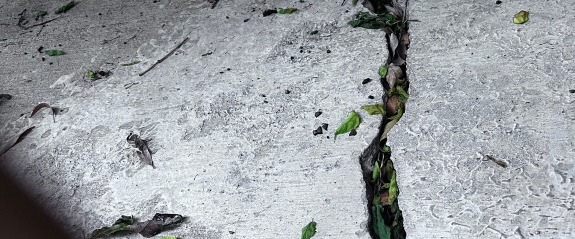 Preventing Structural Damage: Fixing Concrete Cracks In Pflugerville ...